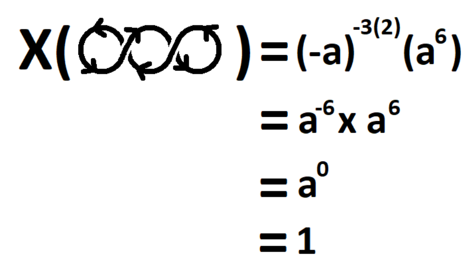 Knot Theory